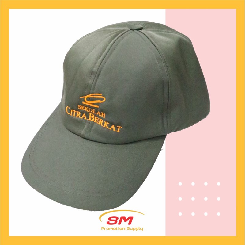 Topi